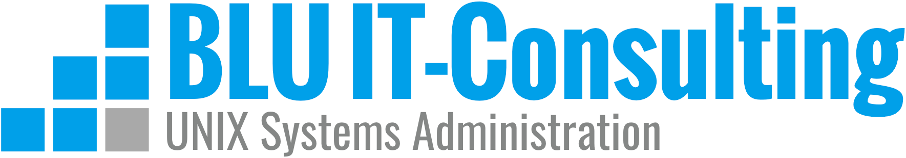 IT-Consulting – BLU IT-Consulting